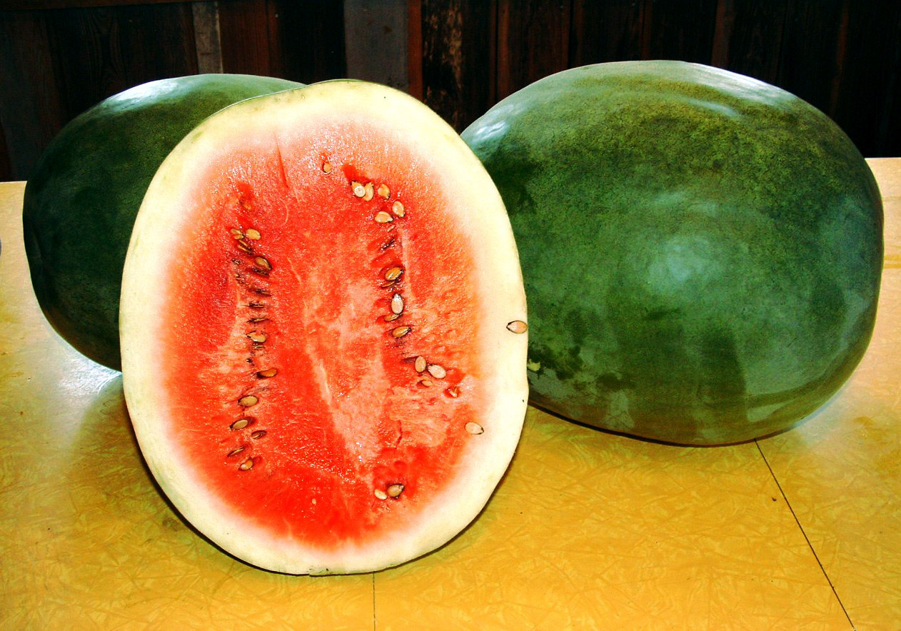 Watermelon